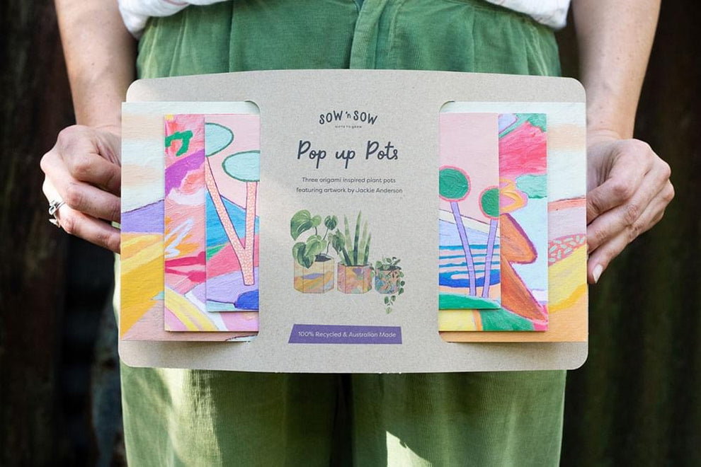 Pop Up Pot Set of 3 Jackie Anderson – All About Furniture & Decor